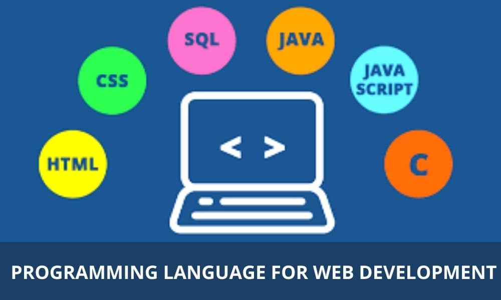 Insights and Inspiration for Website Developers and Language Enthusiasts